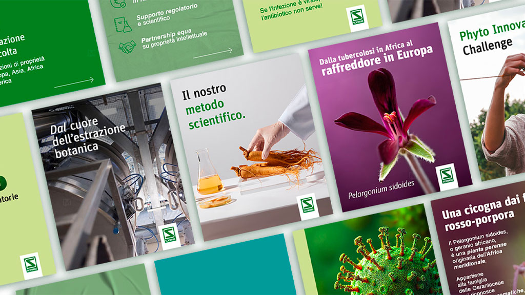 Double-W vince la gara per le attività social di Schwabe - Media Key